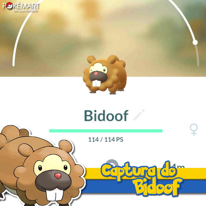 Bidoof - Pokémon GO - PokéMart